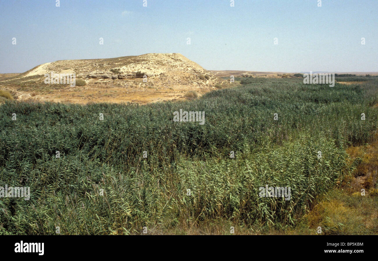 Ziklag hi-res stock photography and images - Alamy