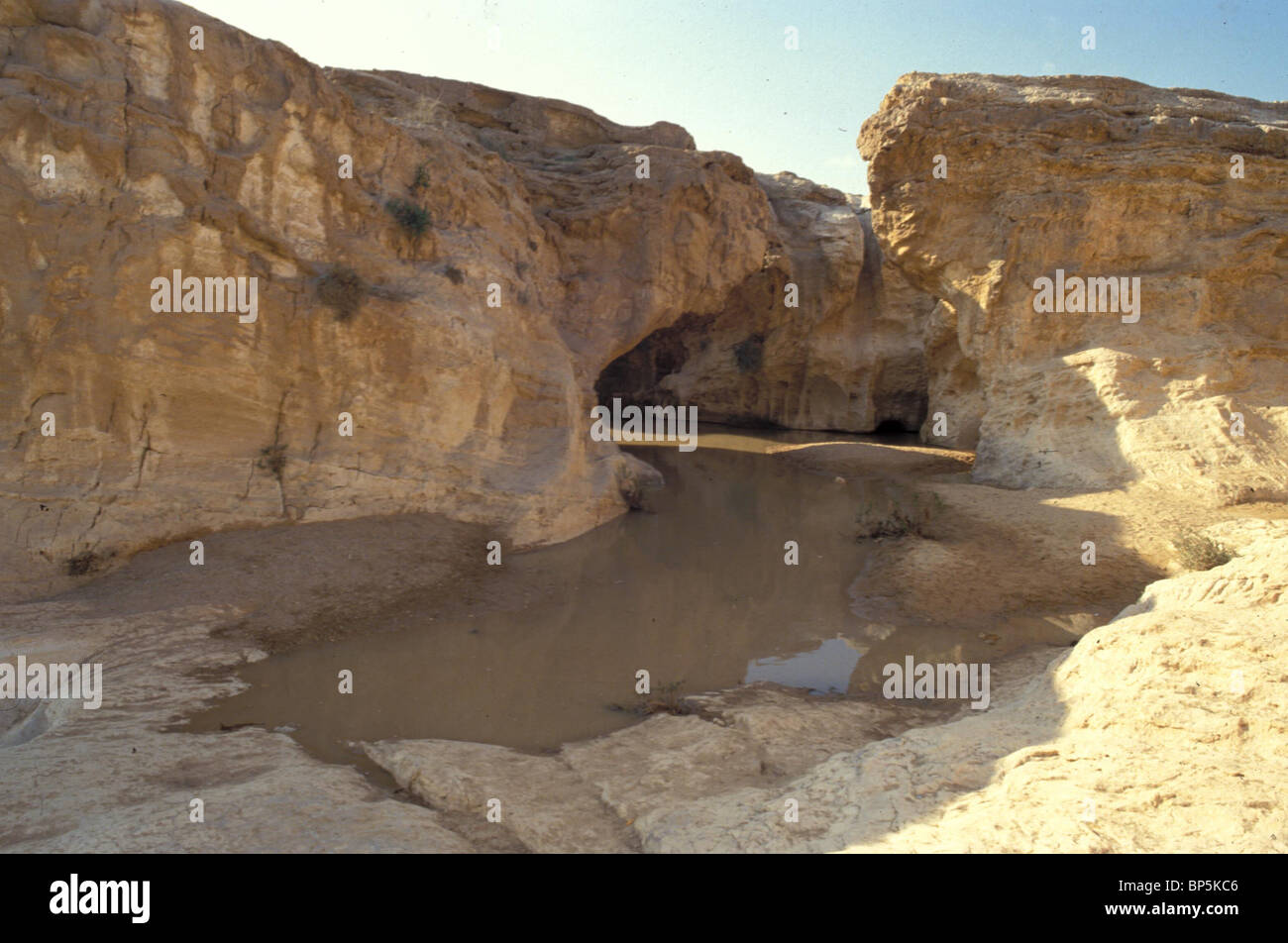 Negev central hi-res stock photography and images - Alamy