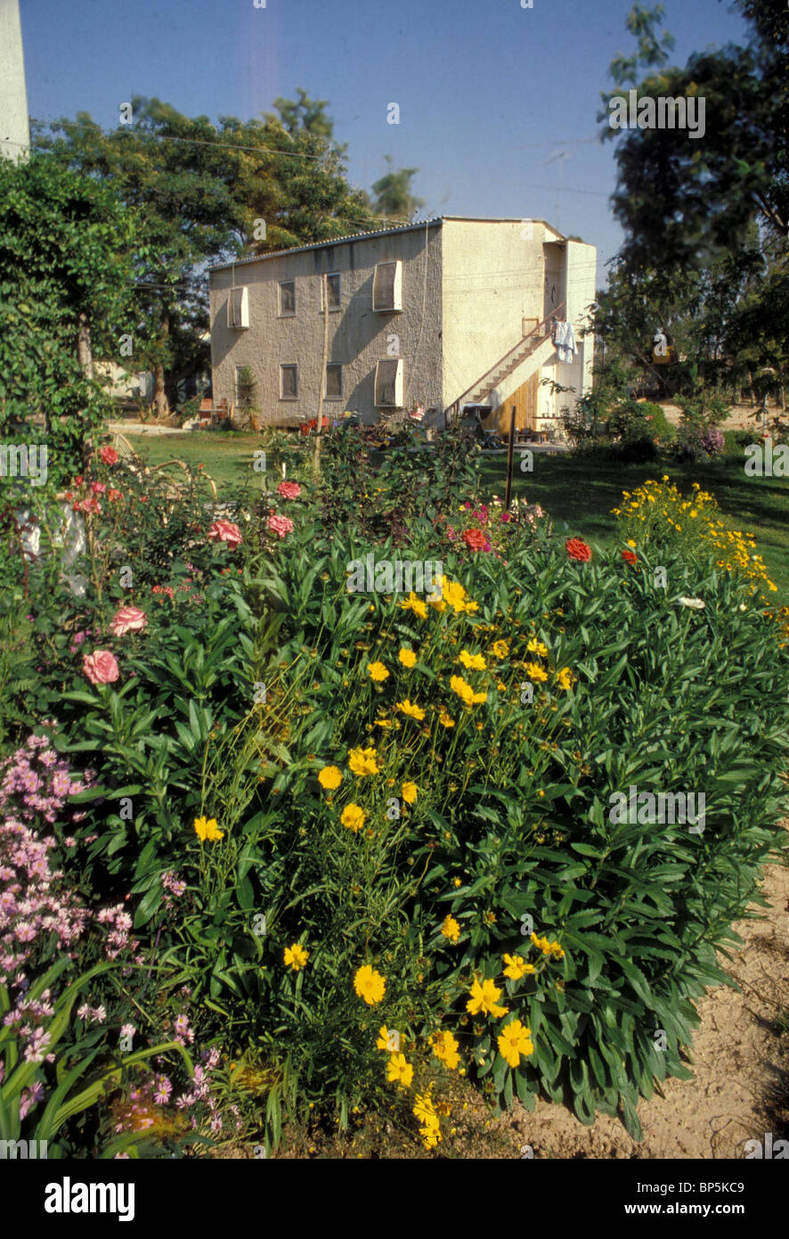 Beeri hi-res stock photography and images - Alamy