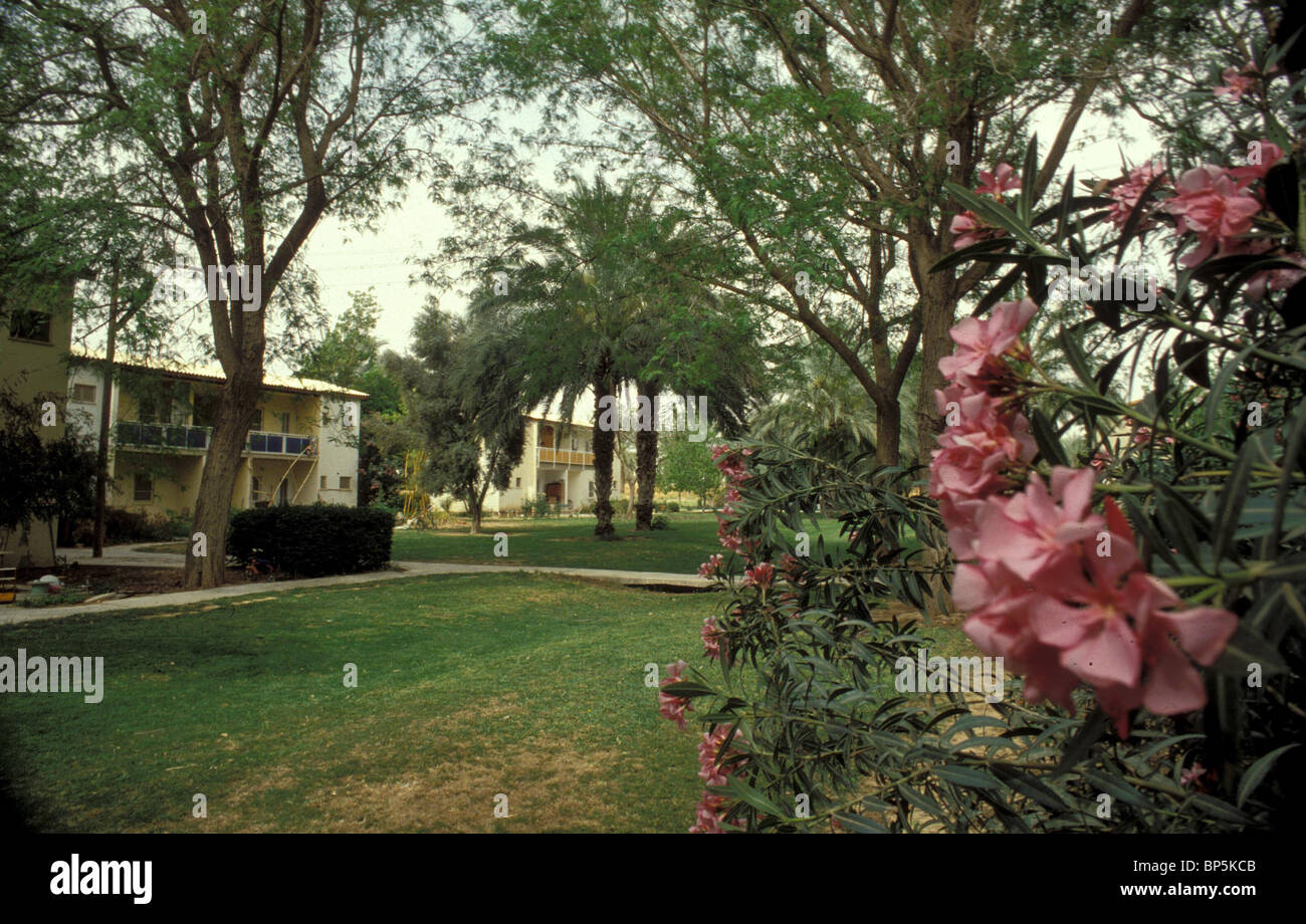 5121. KIBUTZ REVIVIM IN THE NEGEV Stock Photo - Alamy