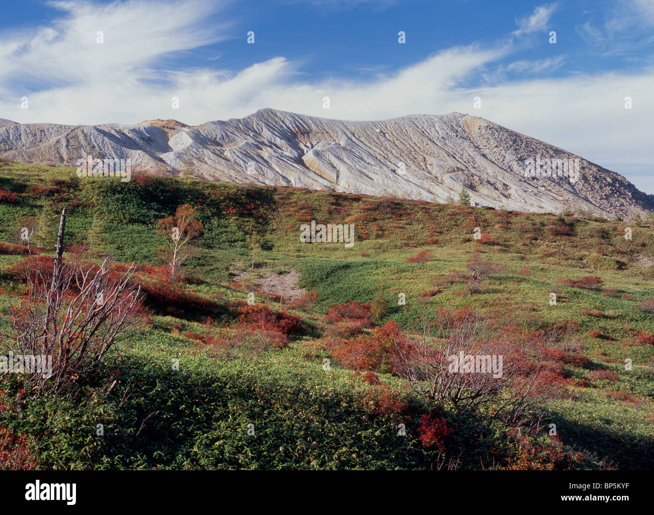 Mount Shirane, Kusatsu, Agatsuma, Gunma, Japan Stock Photo - Alamy