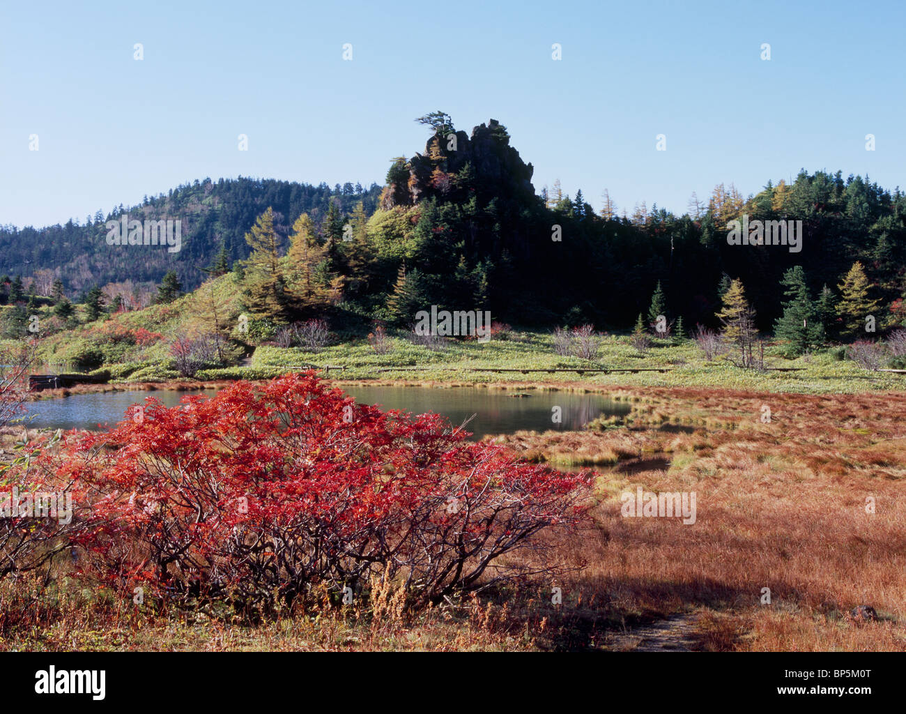 Mount Shirane, Kusatsu, Agatsuma, Gunma, Japan Stock Photo - Alamy