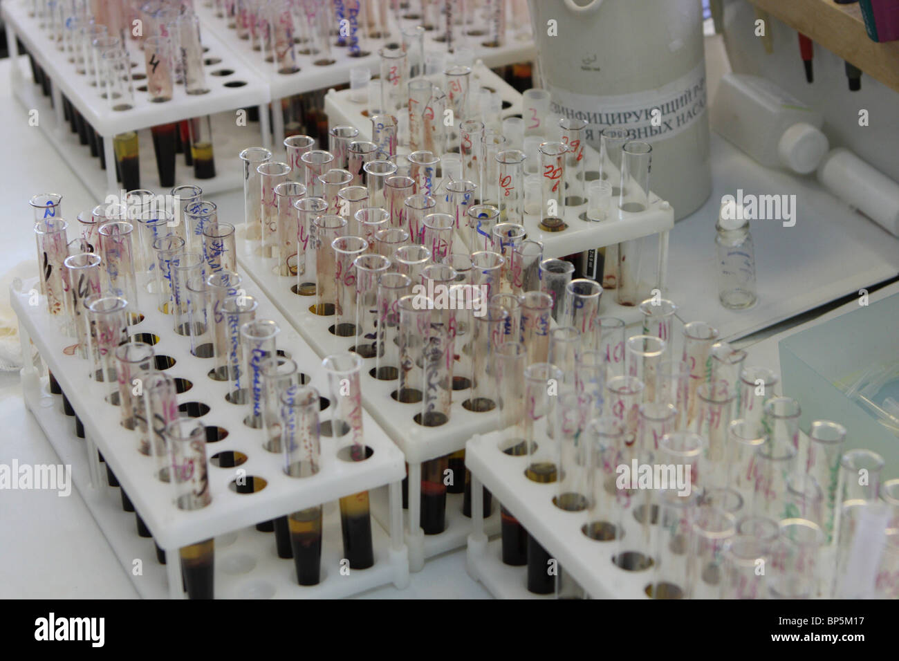 WESTERN SIBERIA, RUSSIA, 2009: Clinical-hematological laboratory of the ...