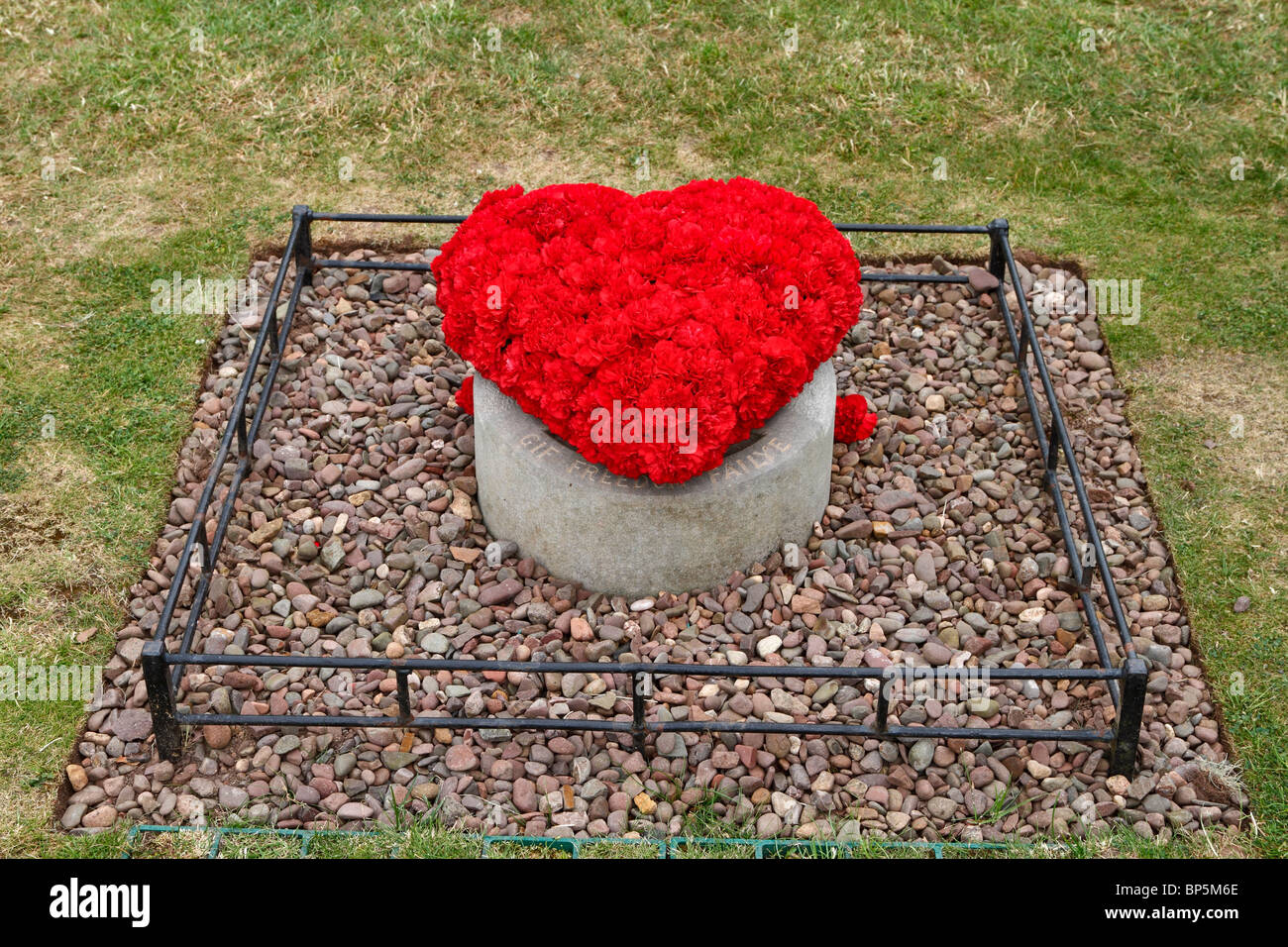 Heart-shaped arrangement of red carnations covers the burying place of ...