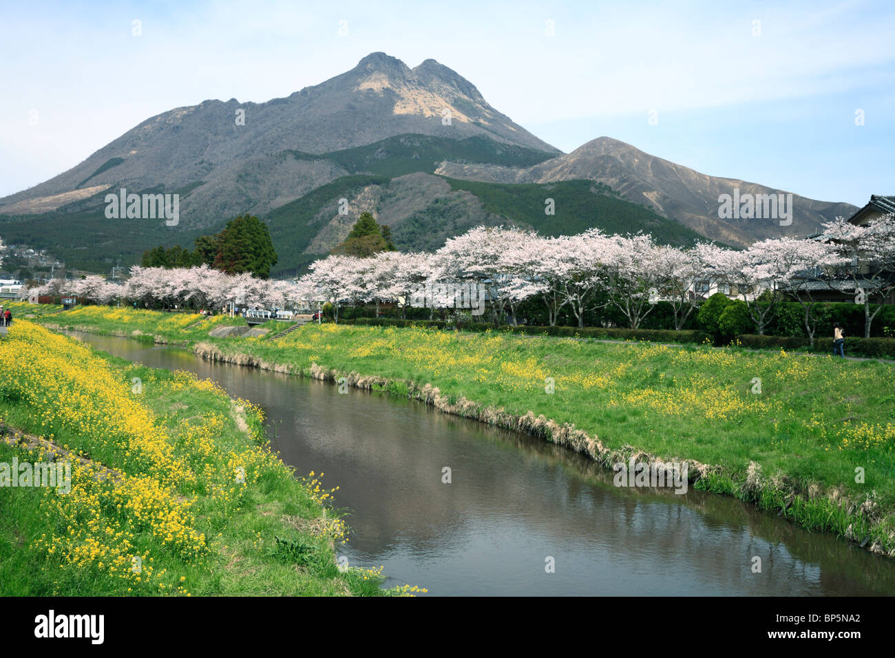 Oita River, Yufu, Oita, Japan Stock Photo - Alamy
