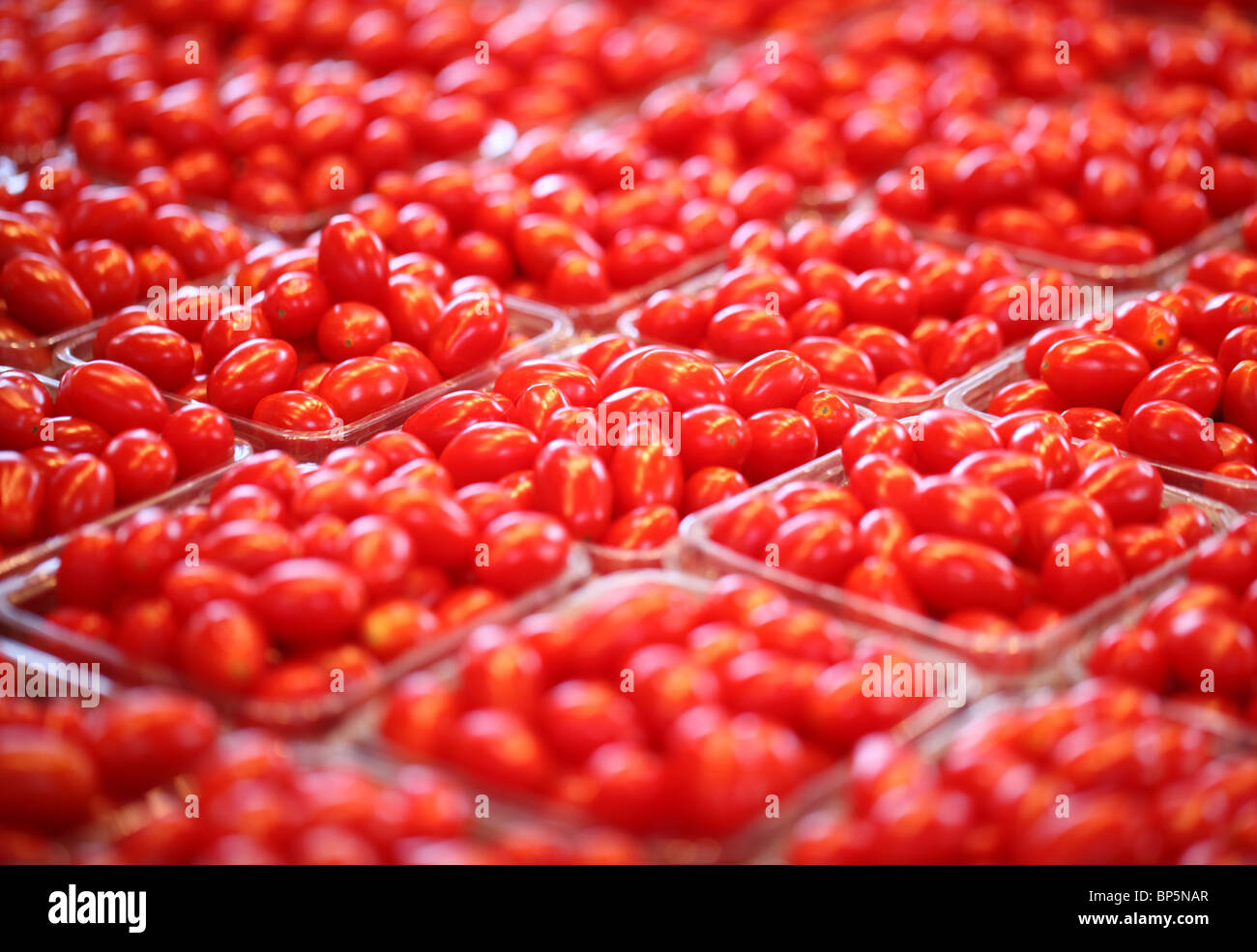 A collection of trays with fresh farmer's market red cherry tomatoes ...