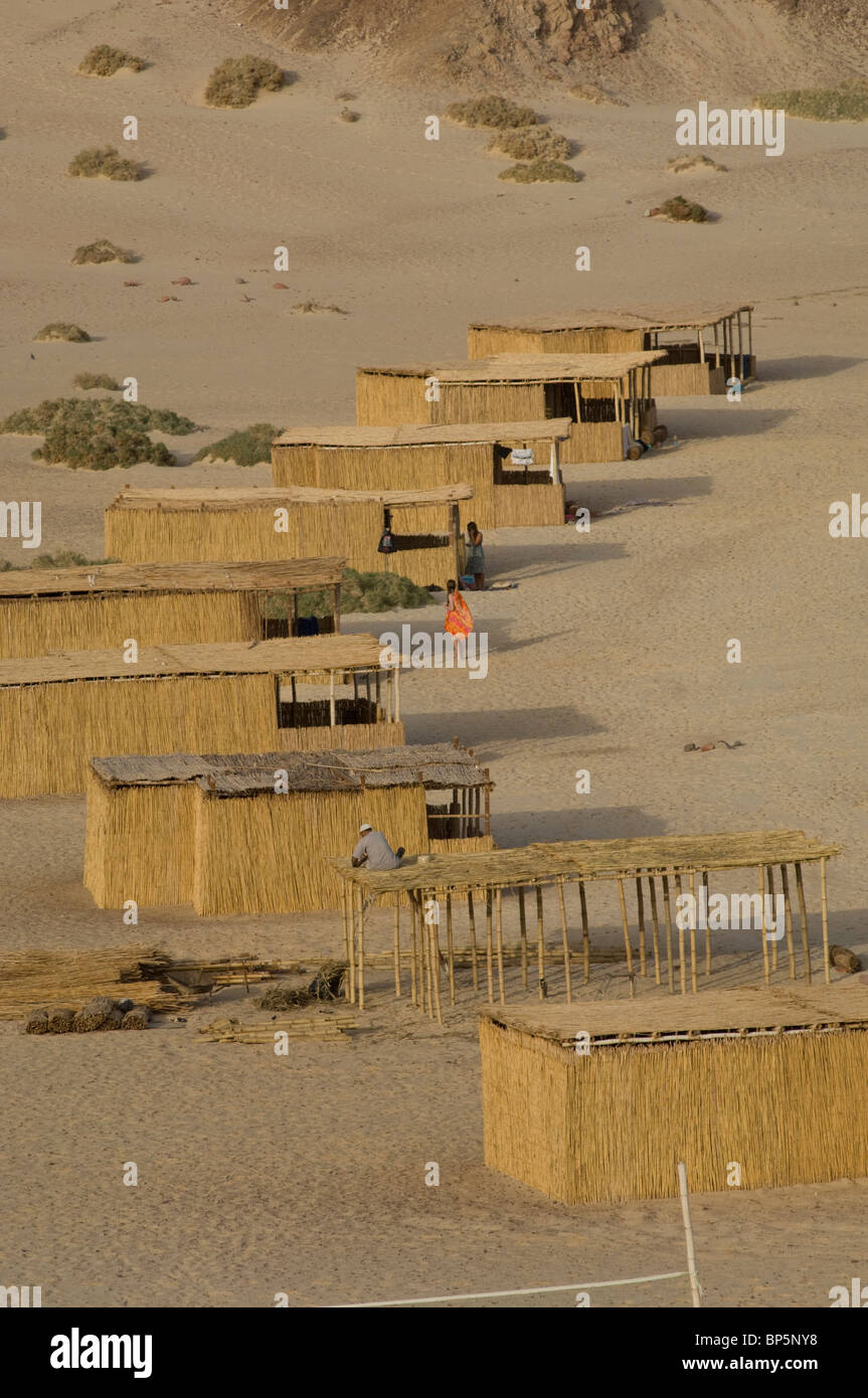 Egypt eco hi-res stock photography and images - Alamy