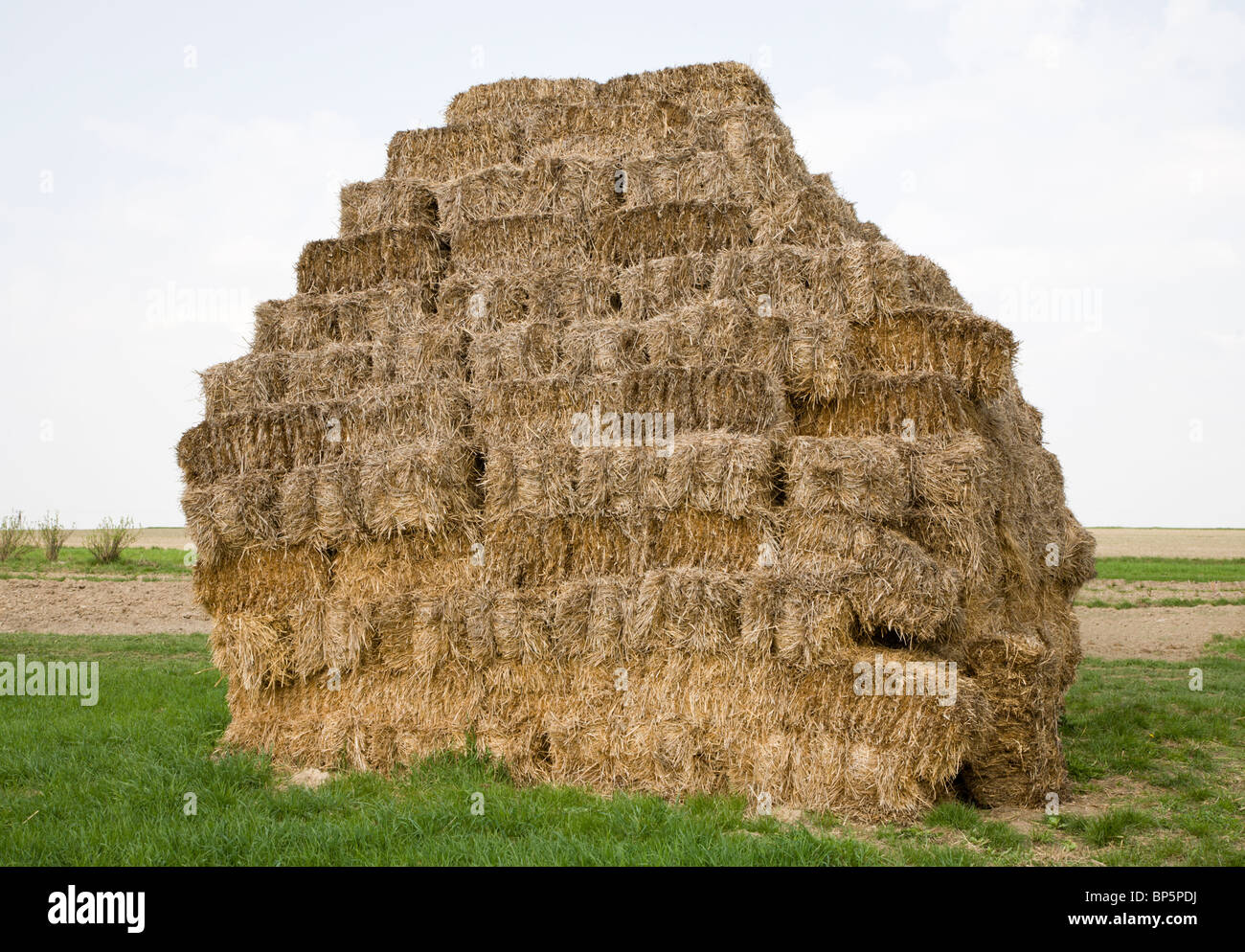 Stacks of hay. Gmina Przylek, Zwolen county, Poland Stock Photo - Alamy