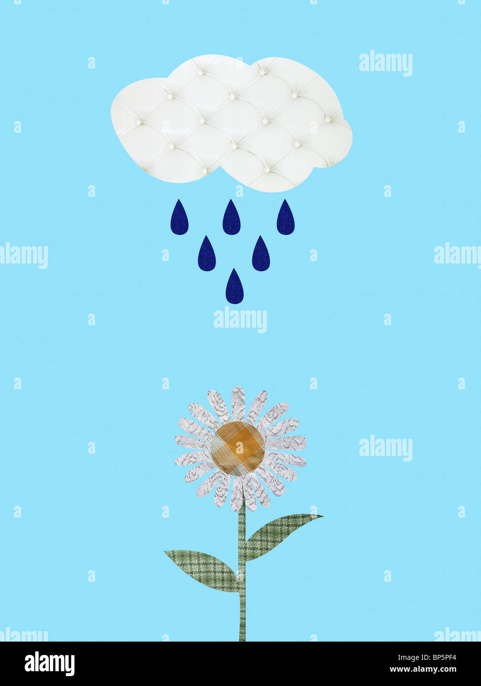 Cloud and raindrops watering daisy Stock Photo - Alamy