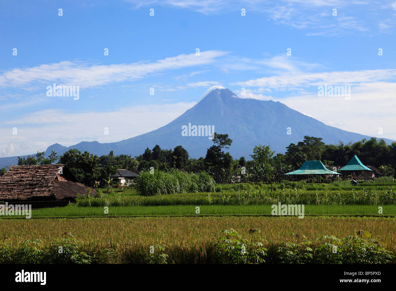 Indonesia, Java, Gunung Merapi volcano; agricultural fields Stock Photo ...