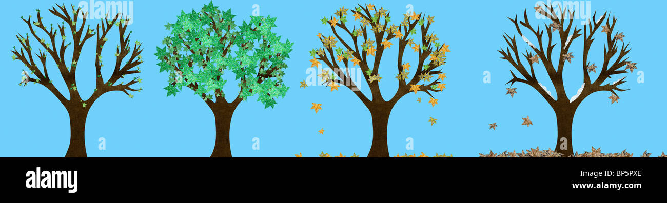 Trees during the four seasons Stock Photo - Alamy