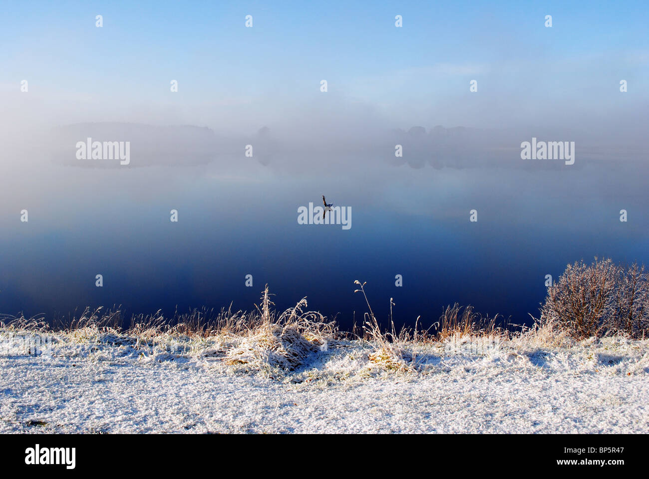 beautiful winter wonderland Stock Photo - Alamy