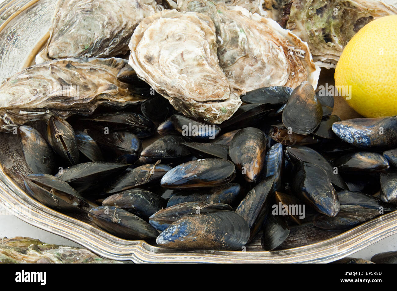 Mussels and oysters Stock Photo - Alamy