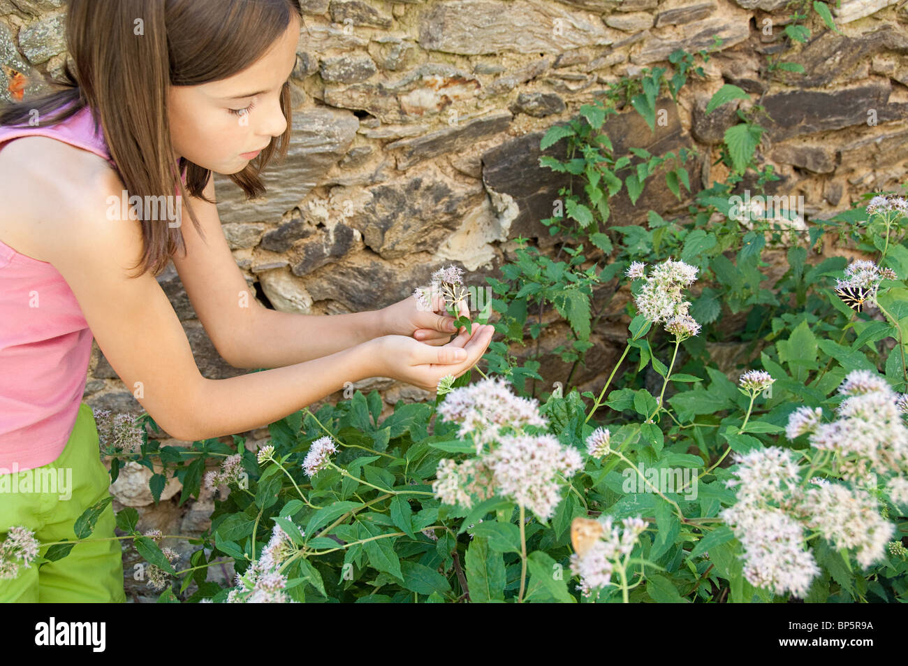 Girl with butterfly hi-res stock photography and images - Alamy