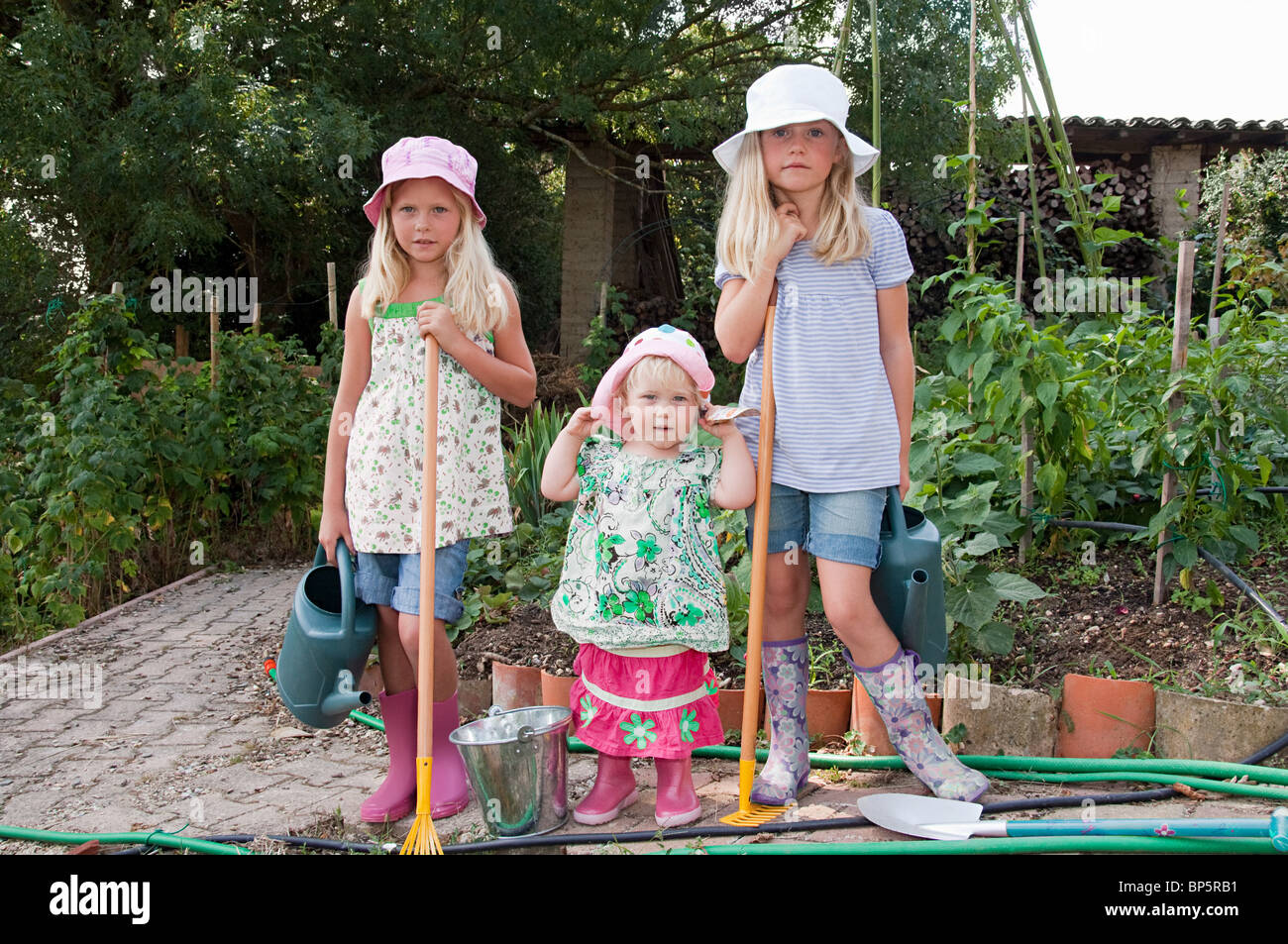 Girls gardening in vegetable garden Stock Photo - Alamy