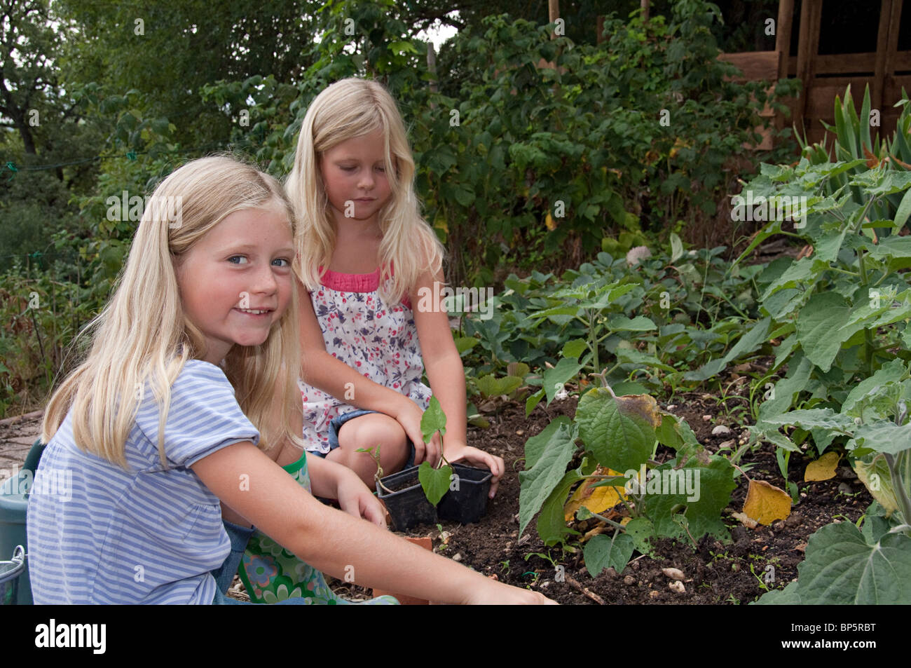 Girls gardening in vegetable garden Stock Photo - Alamy