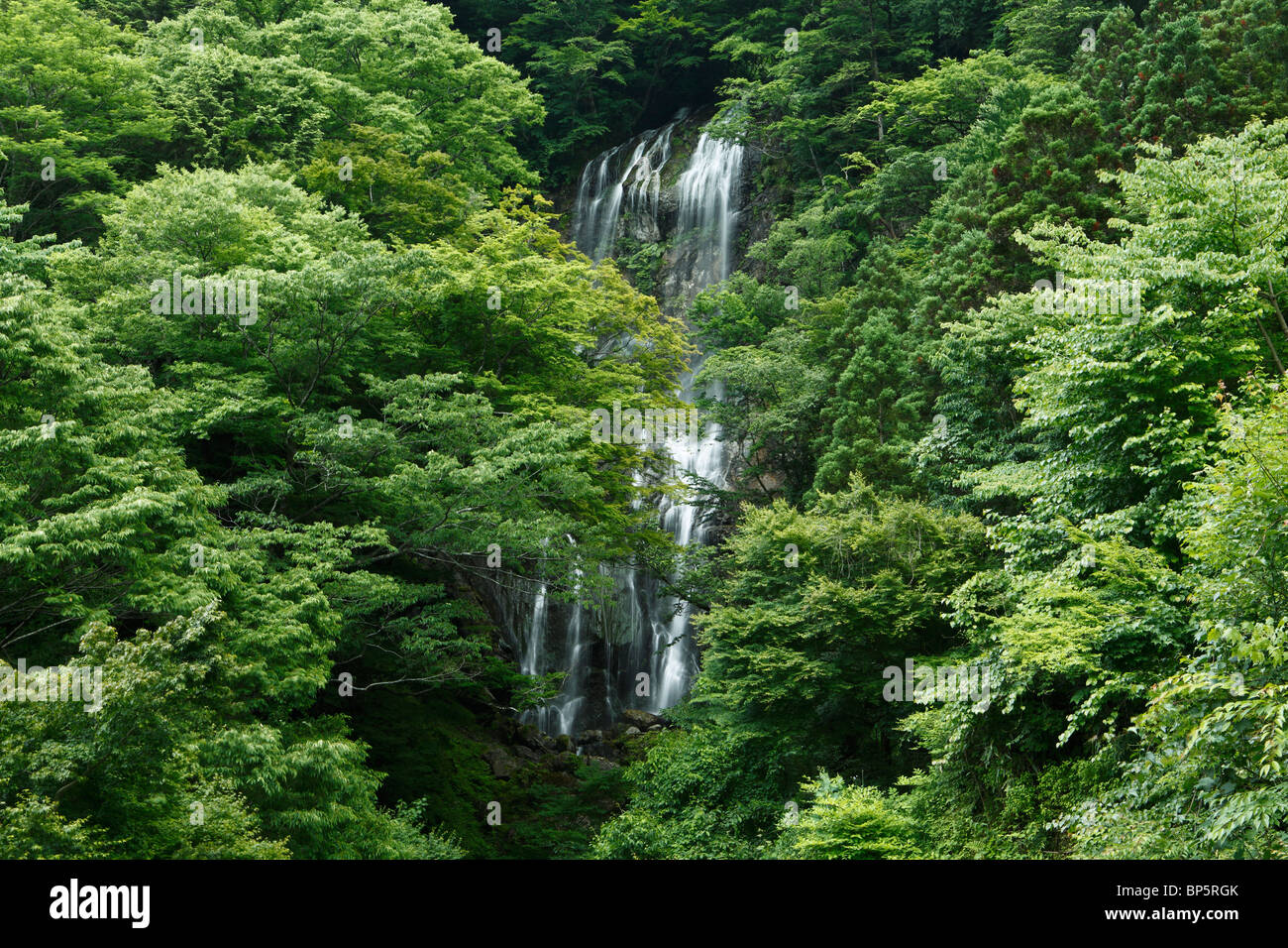 Shirataki Waterfall, Gokase, Nishiusuki, Miyazaki, Japan Stock Photo ...