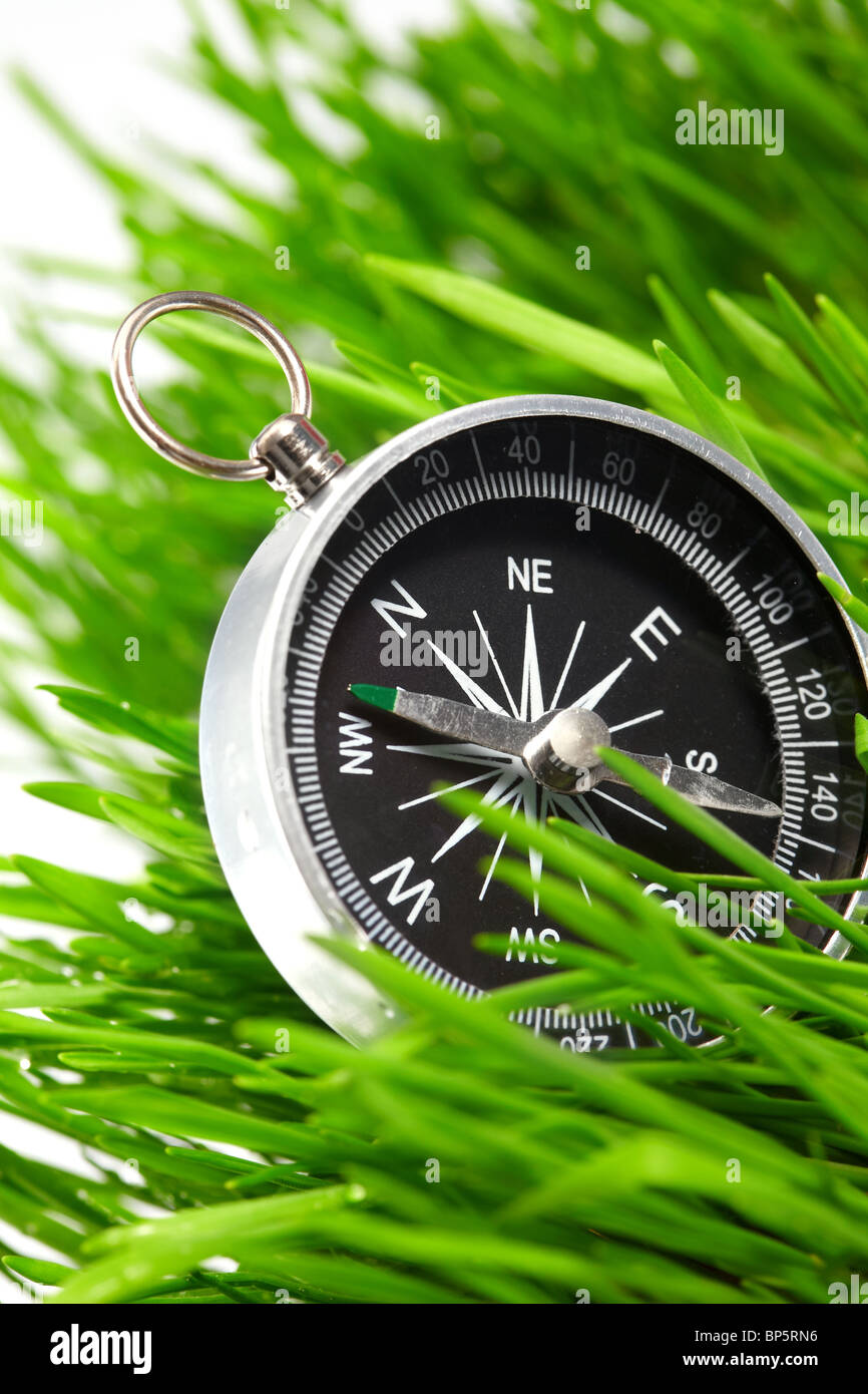 compass in green grass Stock Photo - Alamy