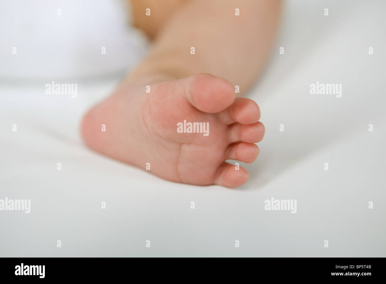 Anatomy sole foot hi-res stock photography and images - Alamy