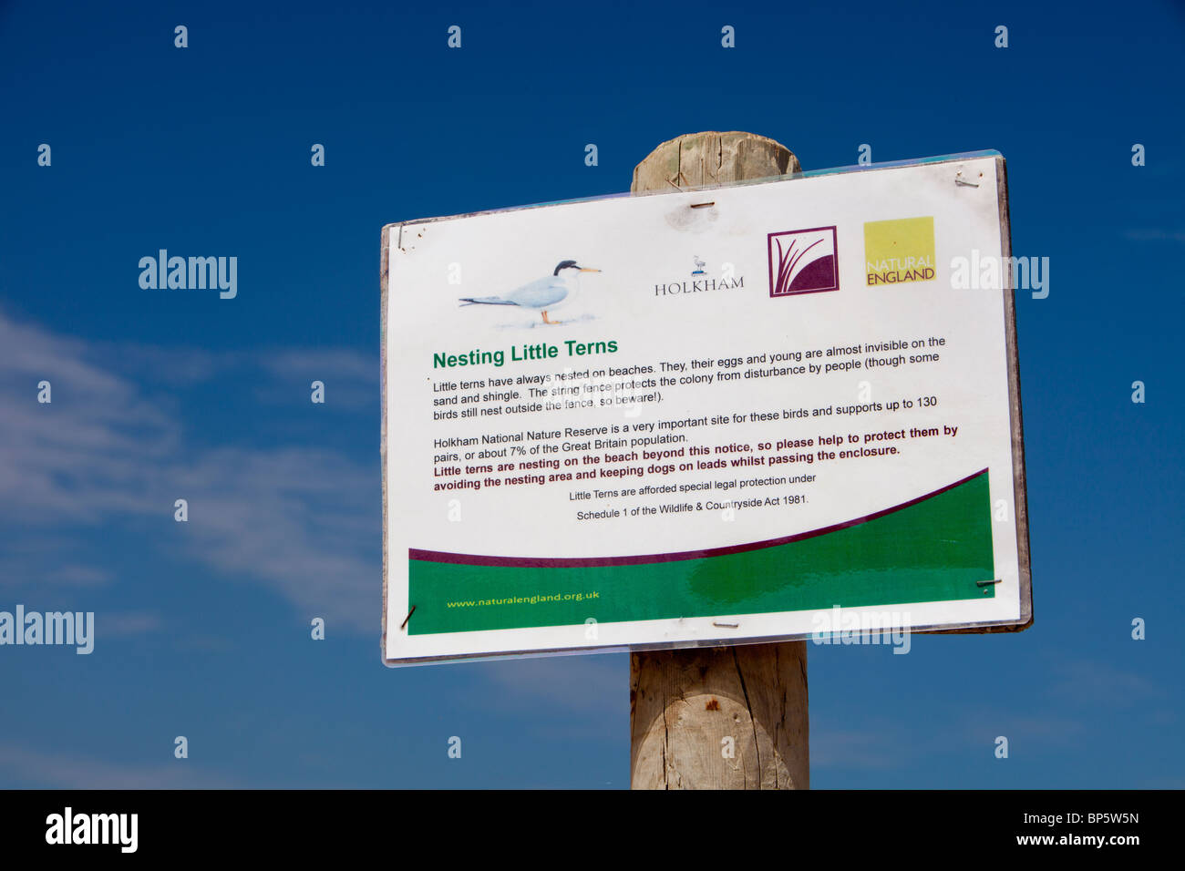 A sign about nesting Little Terns, (Sternula albifrons) on the beach at ...