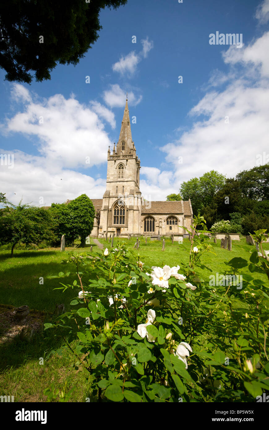 Corsham Parish Church Wiltshire UK White Rose Stock Photo - Alamy