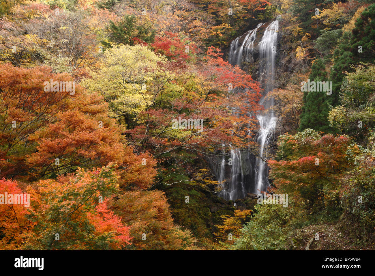 Shirataki Waterfall, Gokase, Nishiusuki, Miyazaki, Japan Stock Photo ...