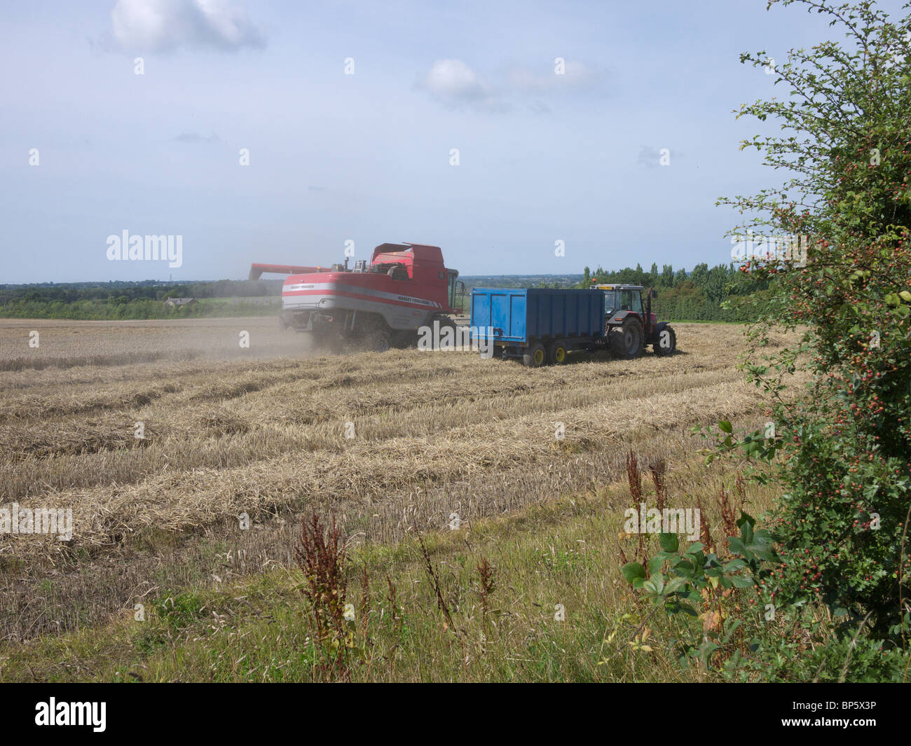 Tractor and container waiting for the Combine Harvester, West ...
