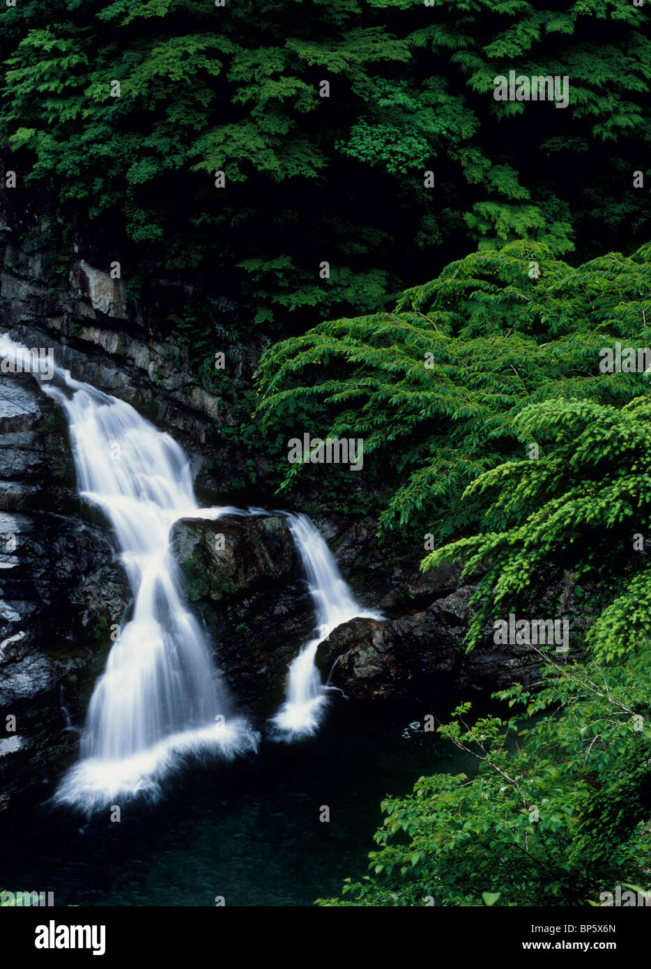 Otai Waterfall, Totsukawa, Yoshino, Nara, Japan Stock Photo - Alamy