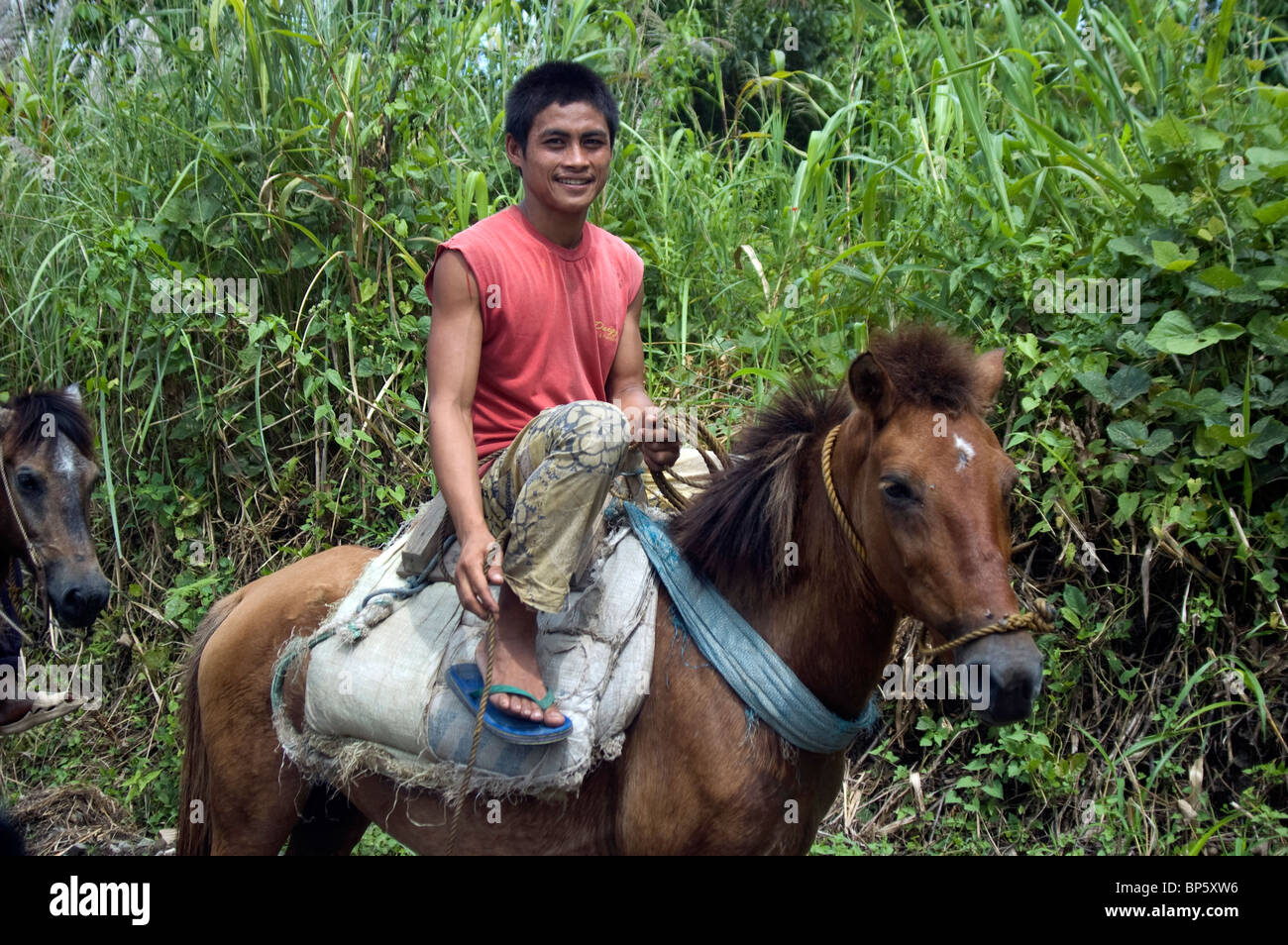 Bilaan Stock Photos & Bilaan Stock Images - Alamy