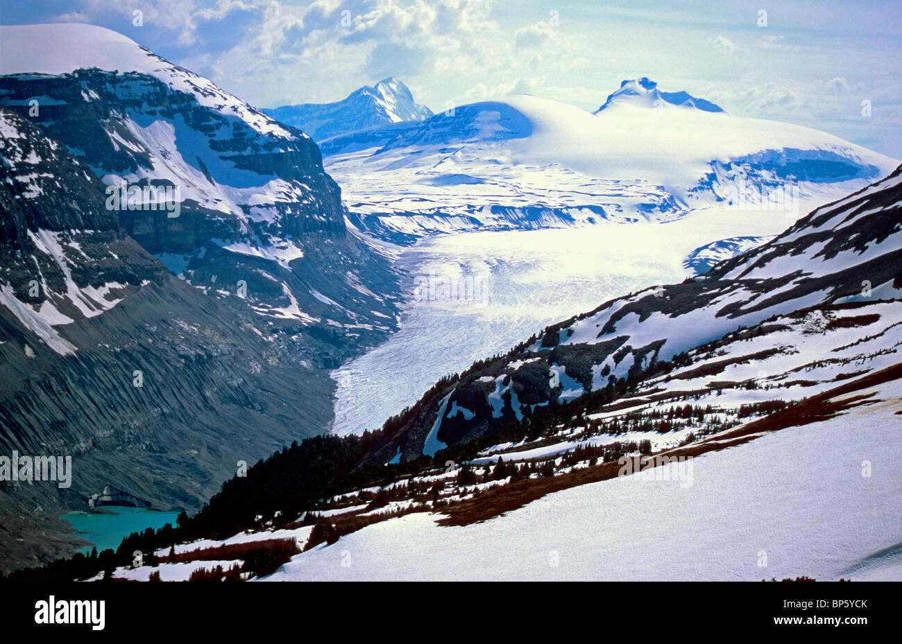 Saskatchewan Glacier from Parker Ridge, Icefields Parkway, Banff ...