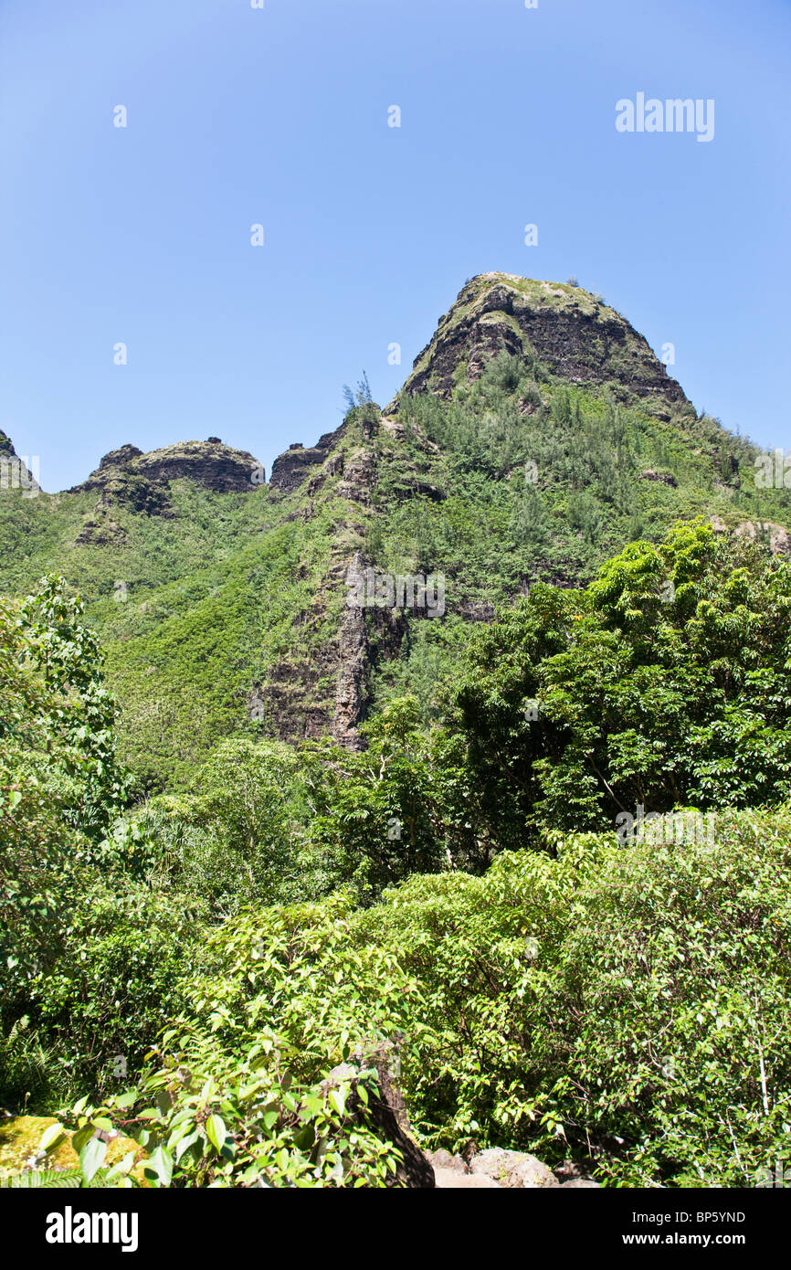 Kauai, Hawaii, United States Of America; Steep Mountainous Terrain Of ...