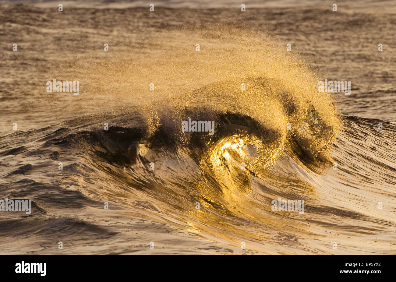 Hawaii, United States Of America; Wave Breaks In Twin Arcs, Catching ...