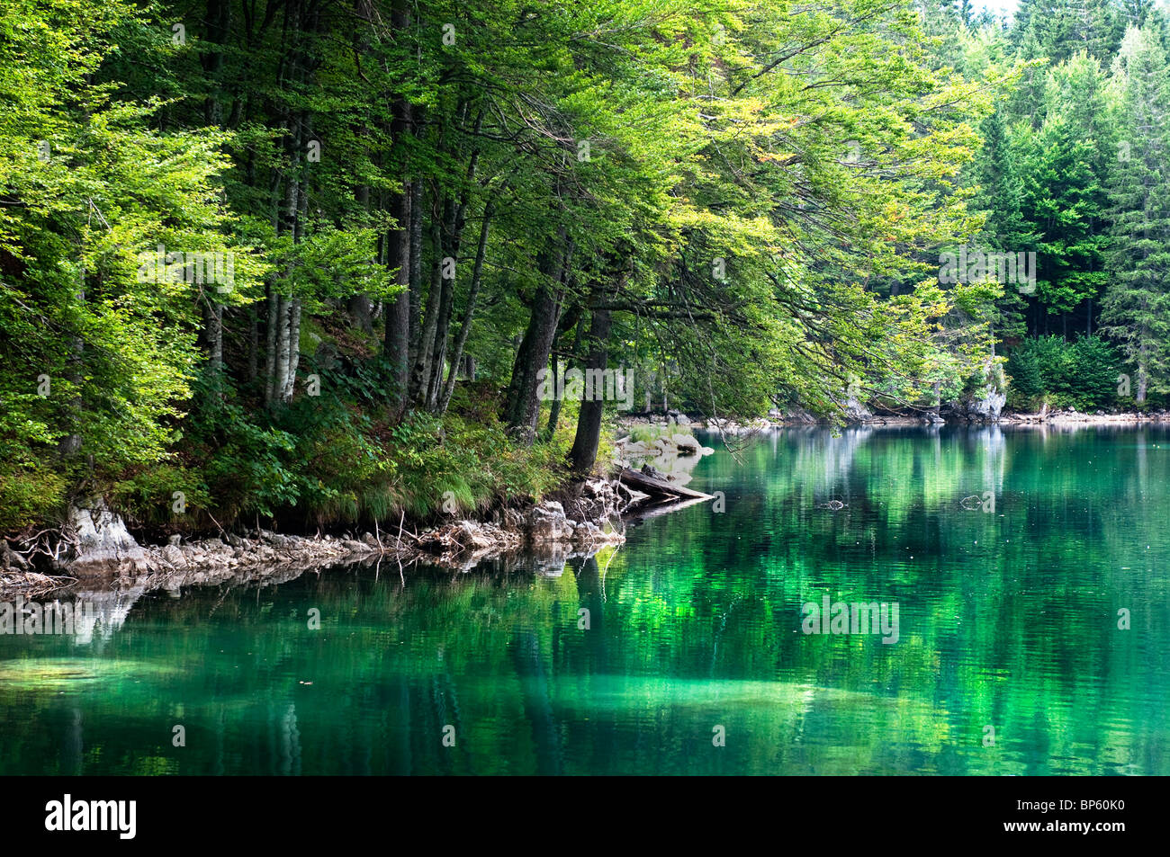 A panorama of Fusine lake Stock Photo - Alamy