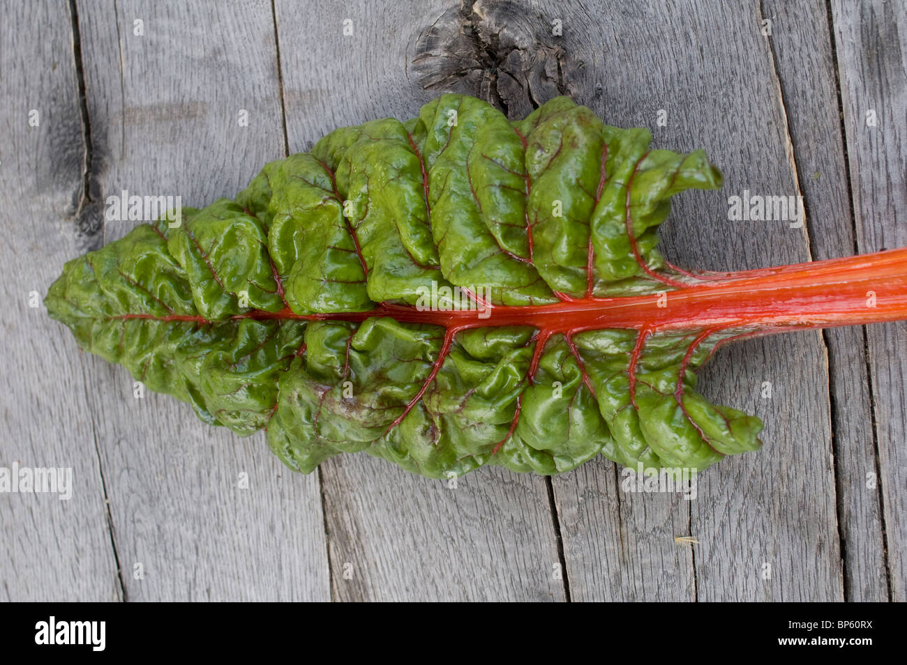 Green chard leaf hi-res stock photography and images - Alamy
