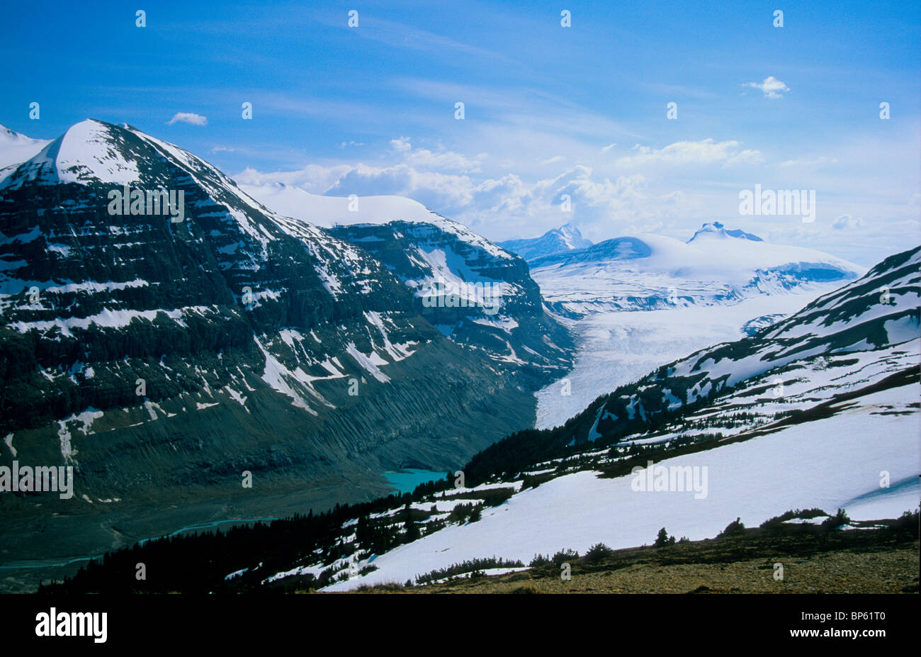 Saskatchewan Glacier, Banff National Park, Canada Stock Photo - Alamy