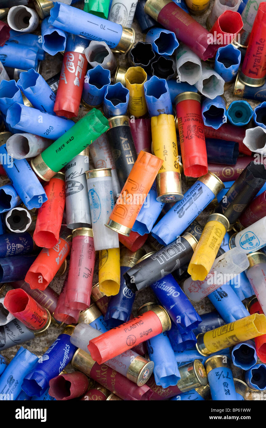 A colourful selection of used Shotgun Cartridges. Picture by James ...