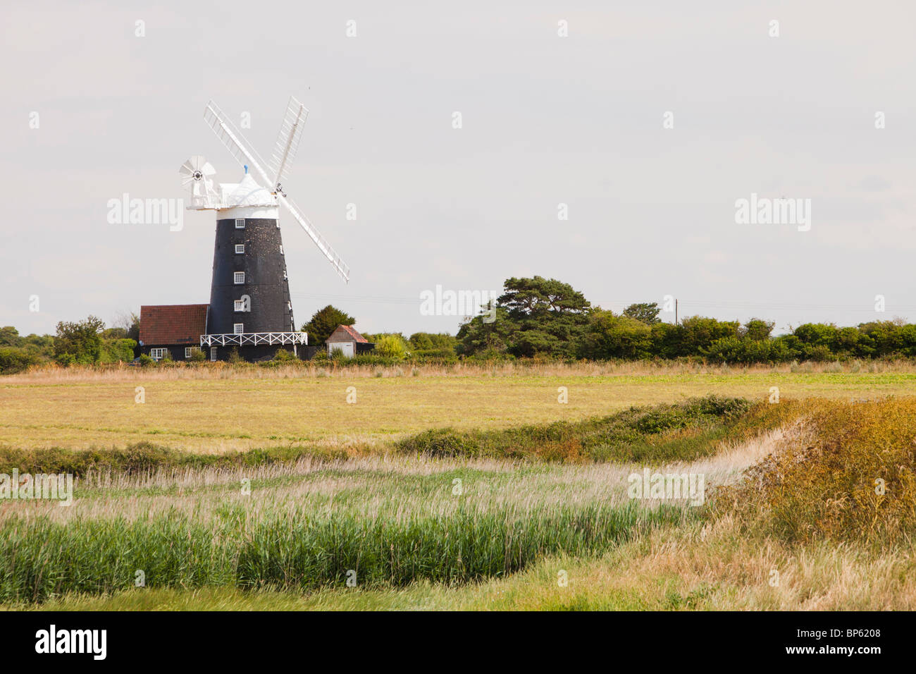 A windmill at Burnham Overy Staithe in North Norfolk Stock Photo - Alamy