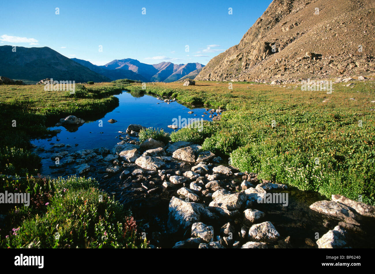 Mountain pond in the Collegiate Peaks wilderness area, Colorado, USA ...