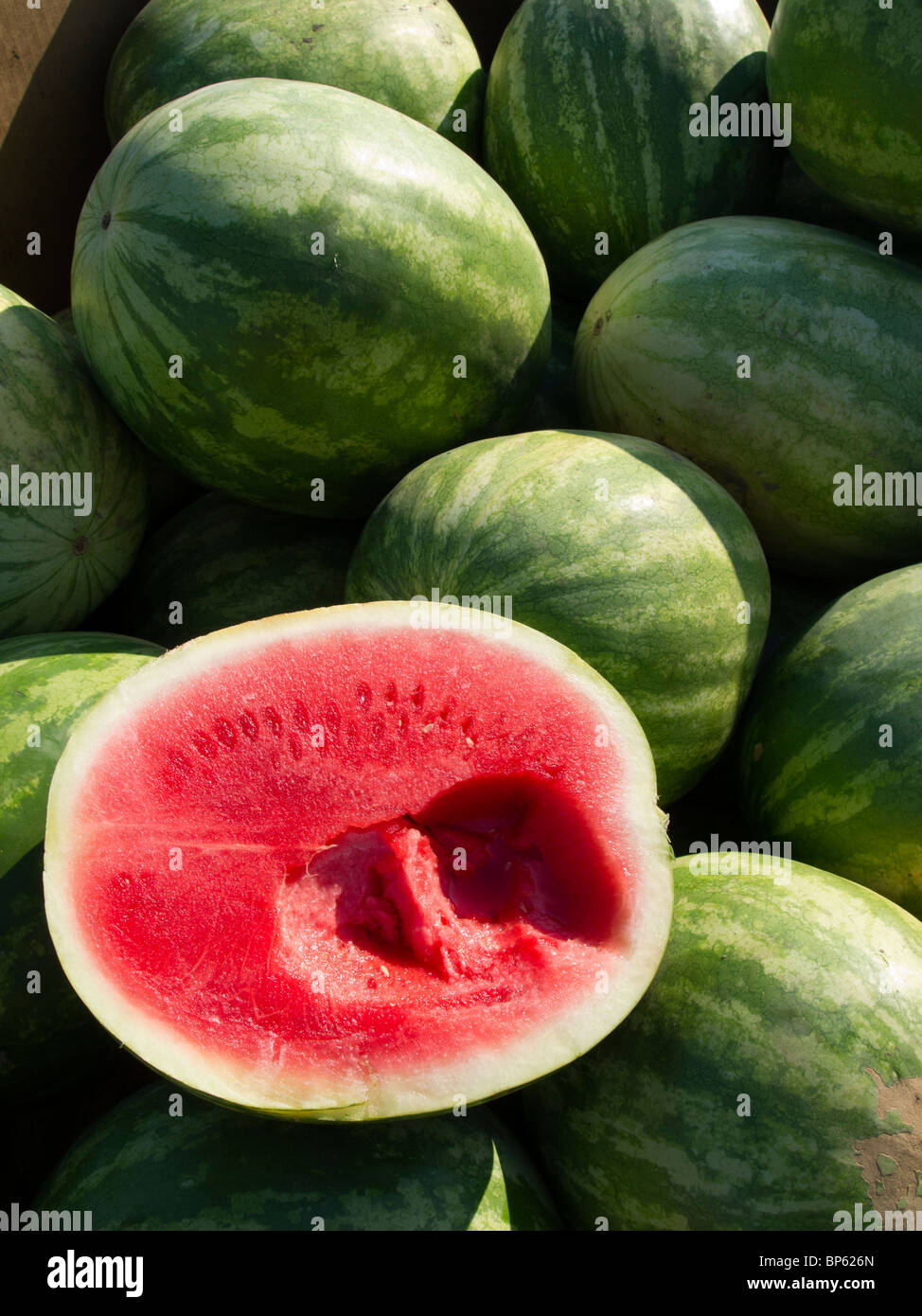 watermelon at a produce auction Stock Photo - Alamy