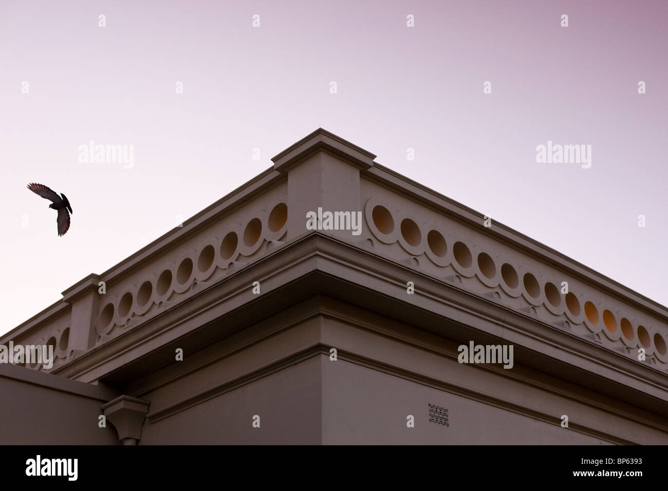 A bird flying off the top of a building Stock Photo - Alamy