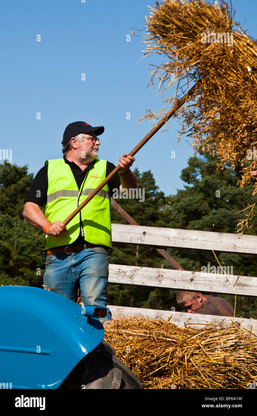 Threshing Machine Worker High Resolution Stock Photography and Images ...