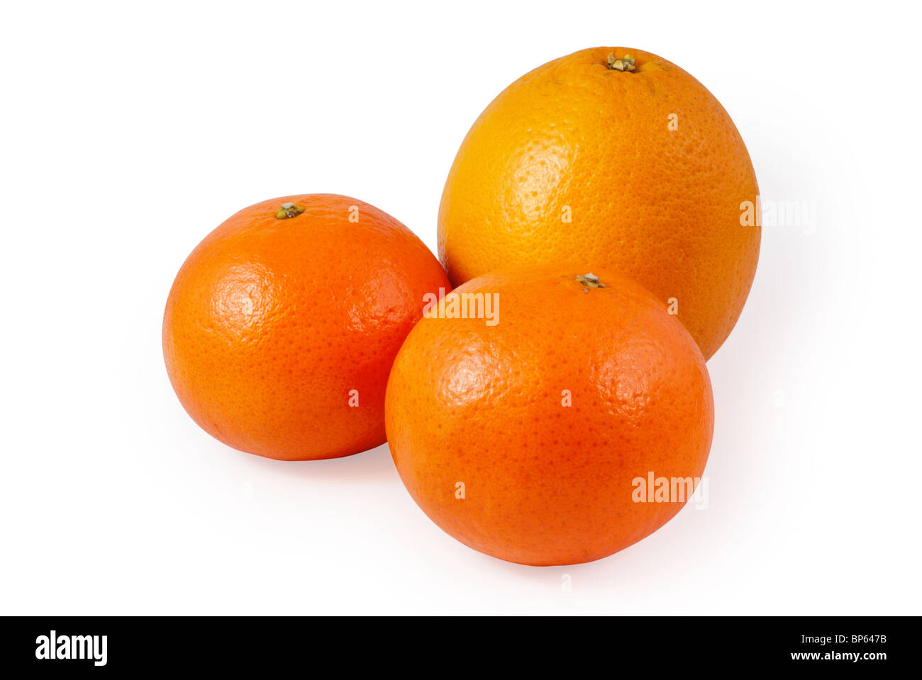 one orange and two mandarins isolated on white background with clipping ...