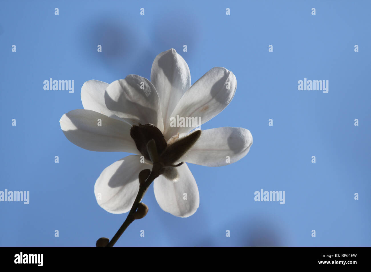 Sky shadow hi-res stock photography and images - Alamy