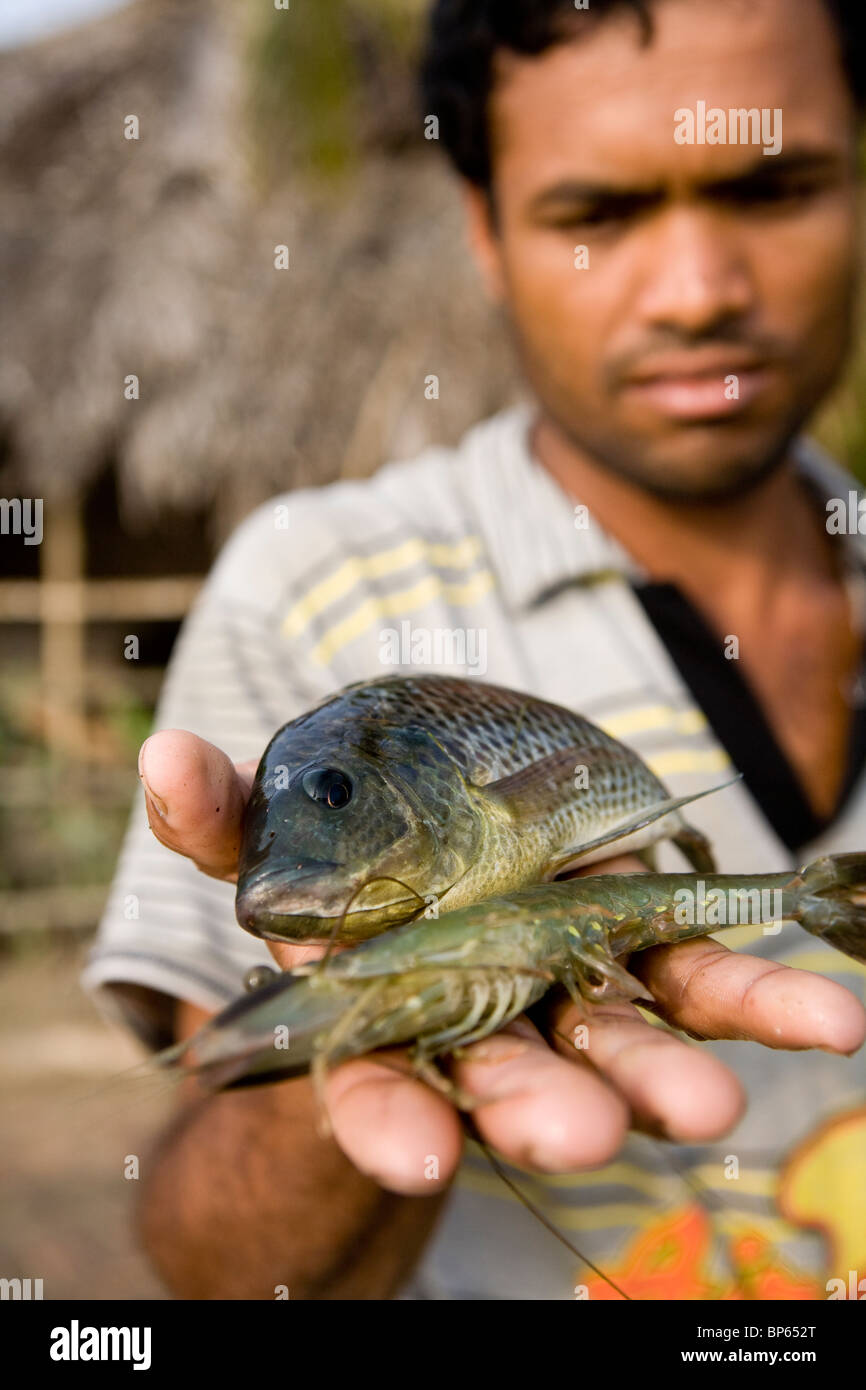 Man with fish and shrimp Stock Photo - Alamy