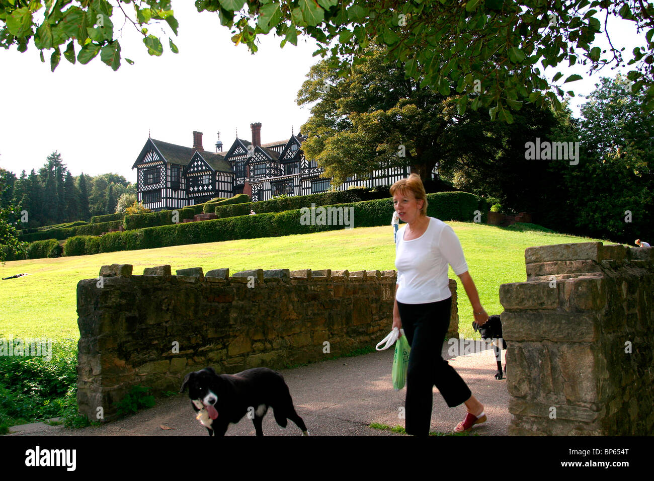 England, Cheshire, Stockport, Bramhall Park, woman walking dogs past ...