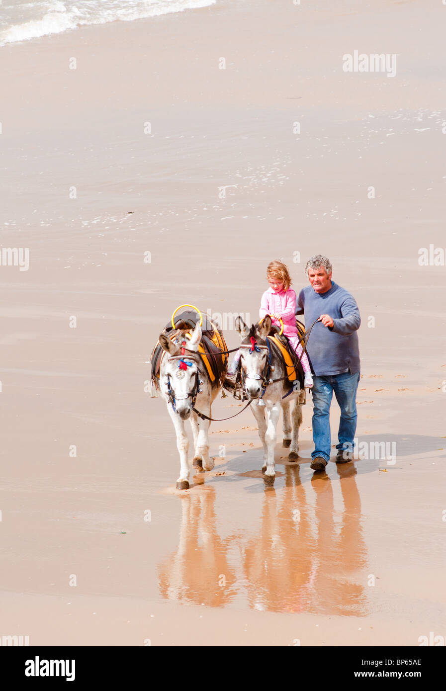 Blackpool Donkey Rides Stock Photos & Blackpool Donkey Rides Stock ...