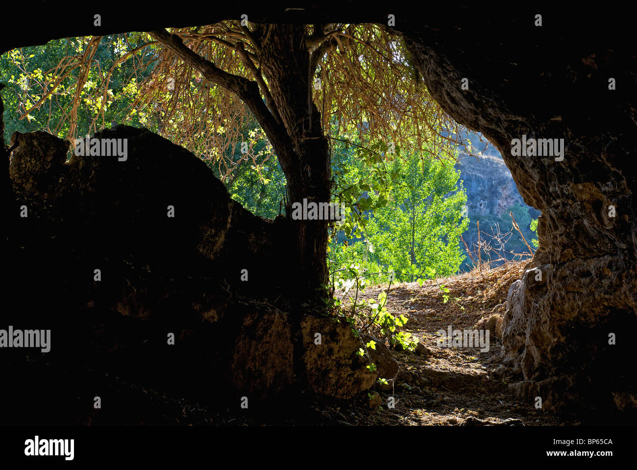 Cueva de La Vaquera. Piron River Canyon. Segovia province. Castilla y ...