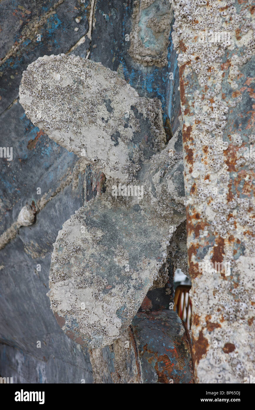 Rusty hull with barnacles hi-res stock photography and images - Alamy
