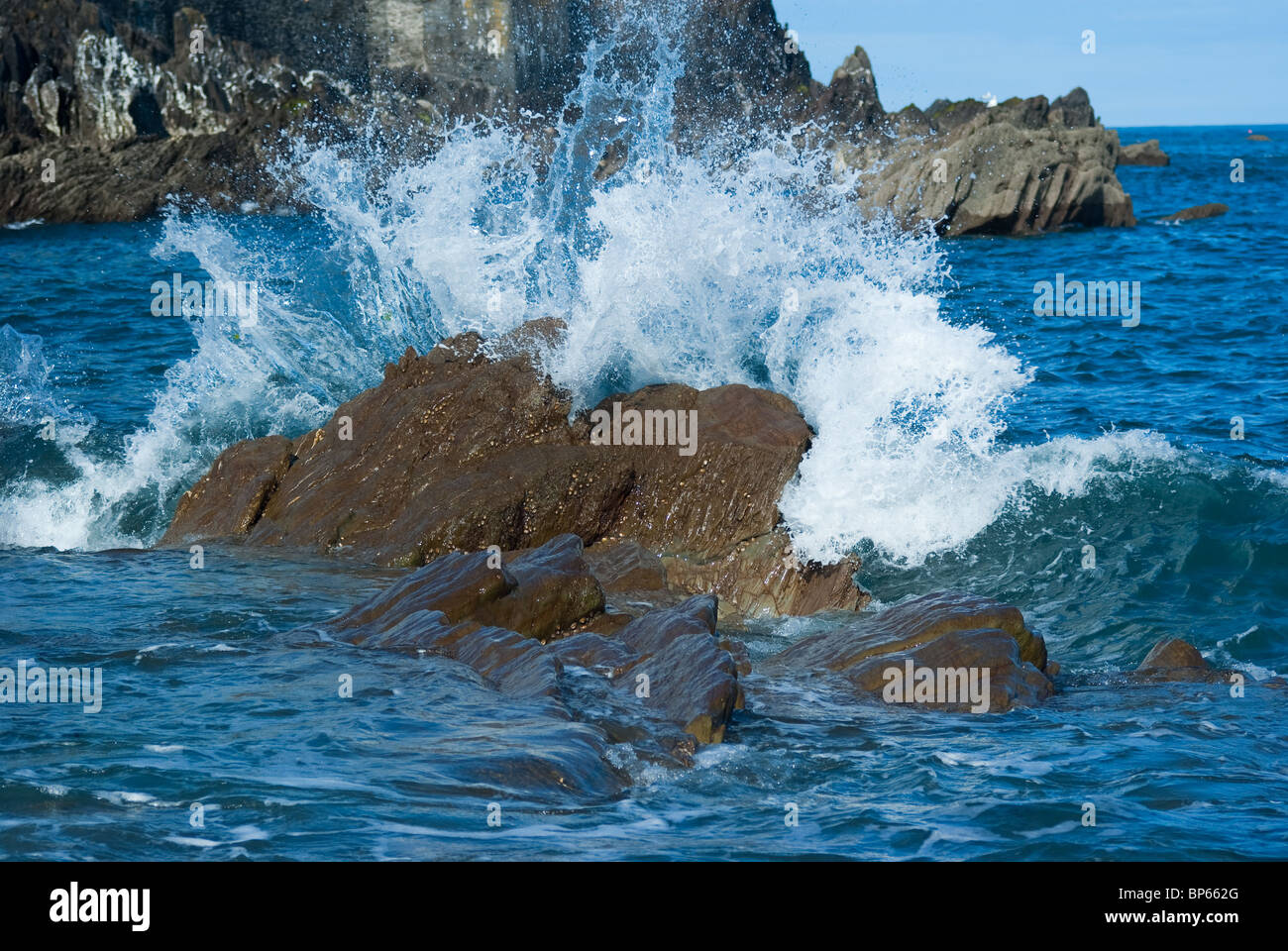 Plash hi-res stock photography and images - Alamy