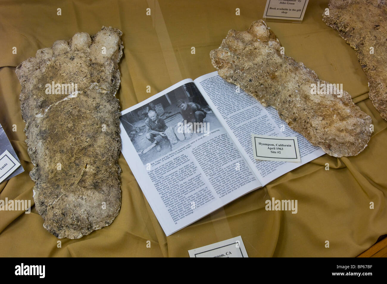 Bigfoot artifacts and footprint casts on display at the Willow Creek ...